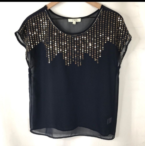 Tops | Sheer Navy Blue Boxy Top Gold Sequins | Poshmark